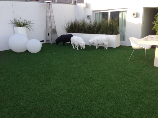 Some of the Most Beautiful Terraces...with a Secret!