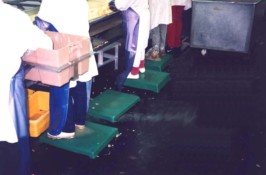 Options for Durable FRP Industrial Work Platforms