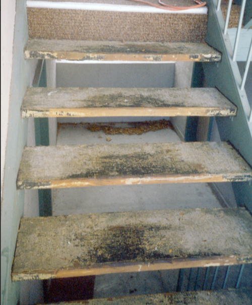 Upgrading Stair Concrete Treads with Durable GRP Solutions